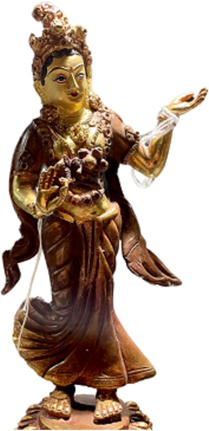 Dancing Tara beeld - Dansend | bol