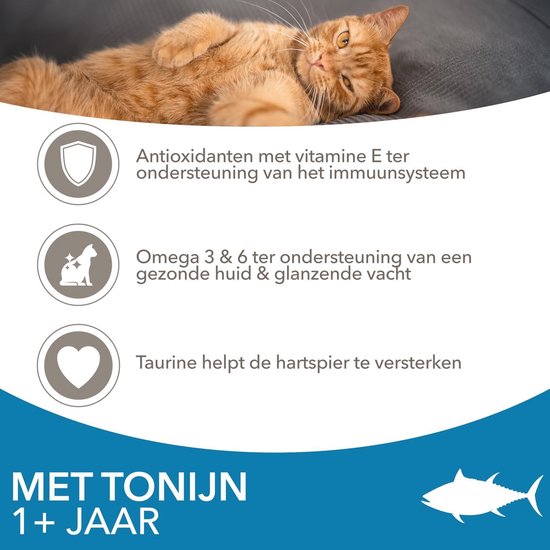 Droogvoer voor katten met tonijn - 3 kg voor katten van 1-6 jaar | bol