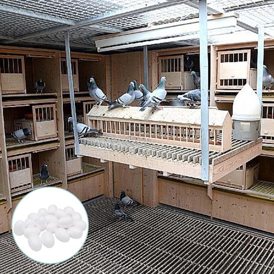 Allecta - Valse eieren voor duiven - 50 stuks - Kunststof nepeieren ...