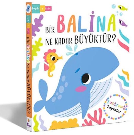 Interessante Feiten over Walvissen en Zeedieren: Schuif & Ontdek Boek | bol