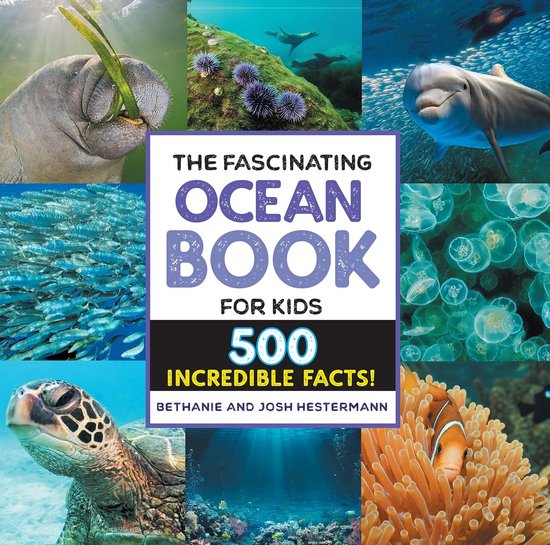 Boek voor Kinderen: 500 Fascinerende Feiten over de Oceaan en Zeedieren ...