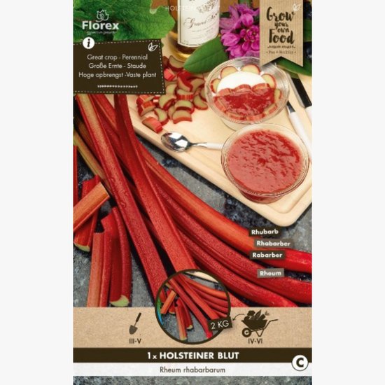 Rabarber (Rheum rhabarbarum) - Holsteiner Blut - Vaste planten ...