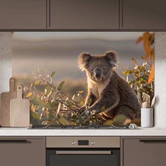 Spatscherm 120x80 cm - Zelfklevende achterwand Koala - Bladeren ...