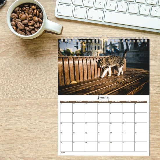 Wandkalender 28x22cm met Kattenthema - Jan 2025-Jun 2026 - Esthetiek ...
