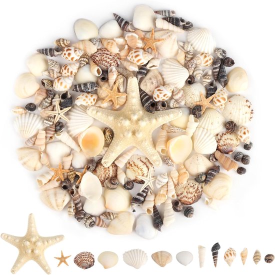 Gemengde Schelpen - 13 Stijlen Knutselmateriaal - 170 g Decoratie - Met ...