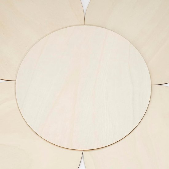 Ronde natuurlijke houten schijven - 10 stuks - 20 cm diameter - 3 mm ...