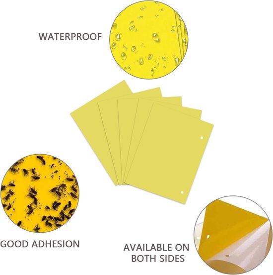 Allecto Premium - Lijmval 20 stuks voor insecten - Dubbelzijdige ...