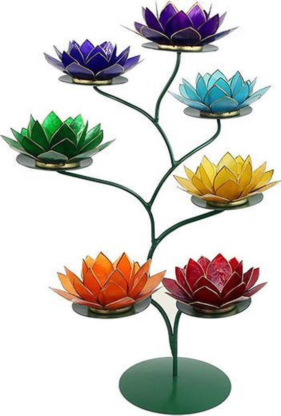Chakra Lotus display | bol.com
