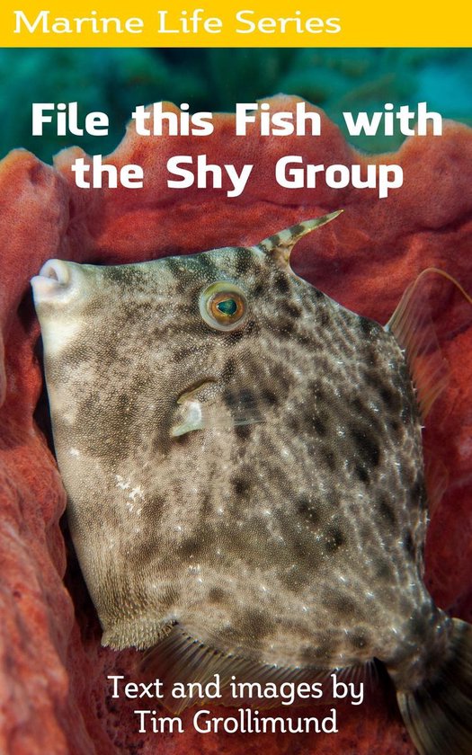 Marine Life - File this Fish with the Shy Group (ebook), Tim Grollimund ...