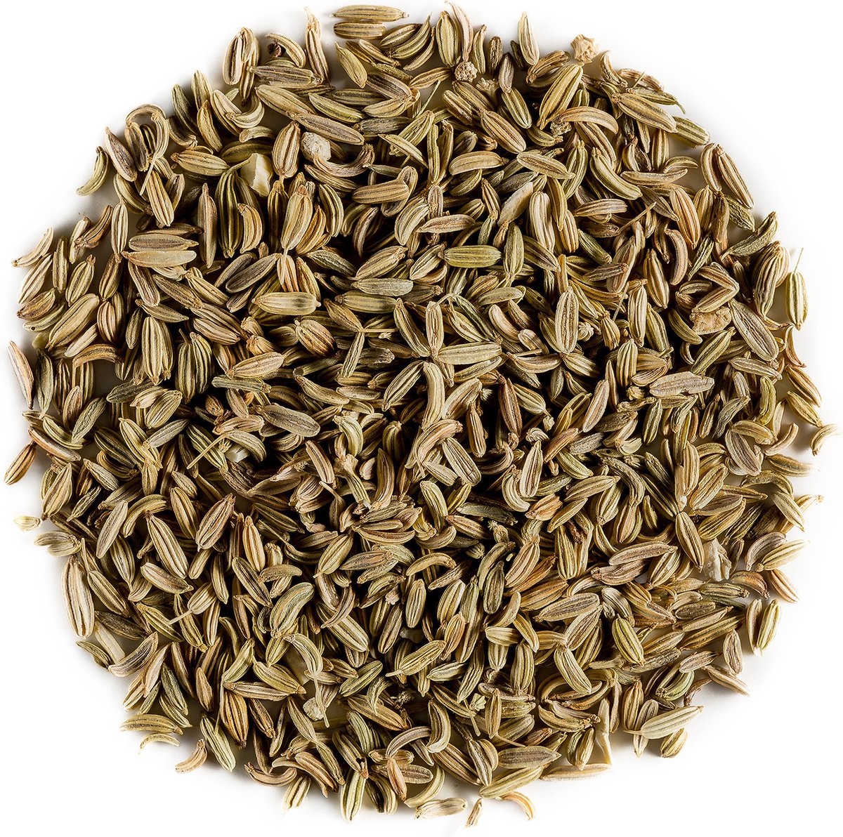 Venkel Zaad Bio Kruiden Delicatesse - Culinaire Venkel Zaden ...