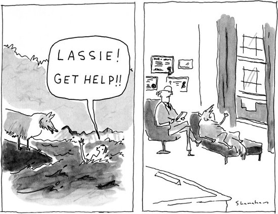 Megamoviestore Lassie Get Help - Mini Puzzel van 100 stukjes ...