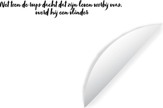 Wallpaper Circle - Humour - Texte - Citations - Juste au moment où la ...