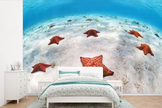 Behang - Fotobehang Zeesterren op de zee bodem - Breedte 390 cm x ...