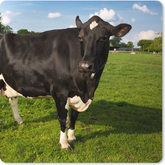 Muismat XXL - Bureau onderlegger - Bureau mat - Koe - Zwart - Wit ...