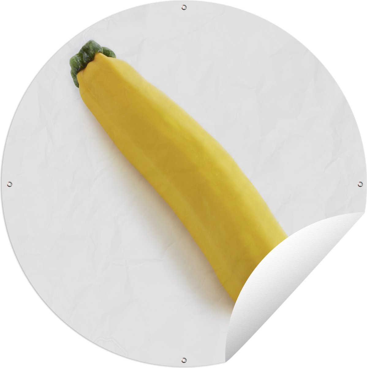 Tuincirkel Gele courgette of mergpompoen - 60x60 cm - Ronde Tuinposter ...