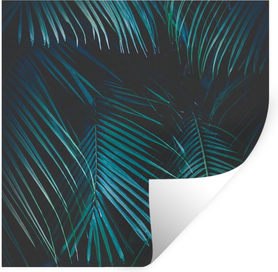 Stickers muraux - Palmier - Palmier - Tropical - 50x50 cm - Film ...