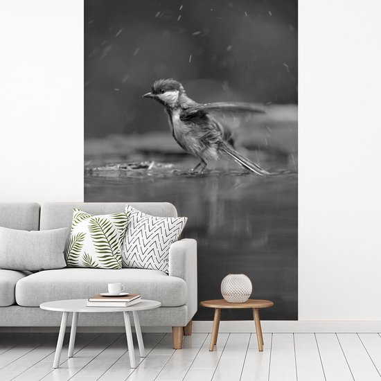 Behang - Fotobehang Koolmees met zijn reflectie in een vogelbadje ...