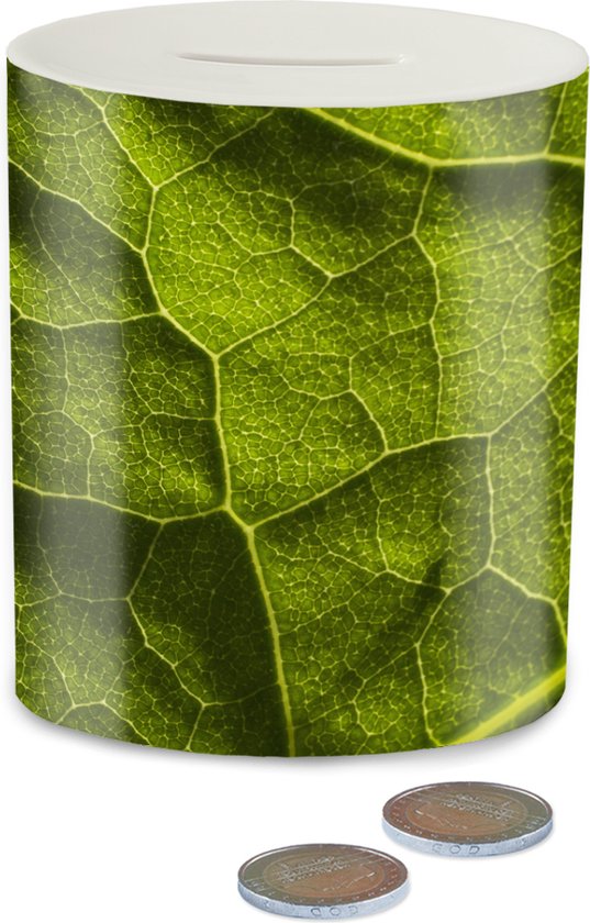 Spaarpot - Spaarblik - Van dichtbij weergeven blad met nerven die de ...