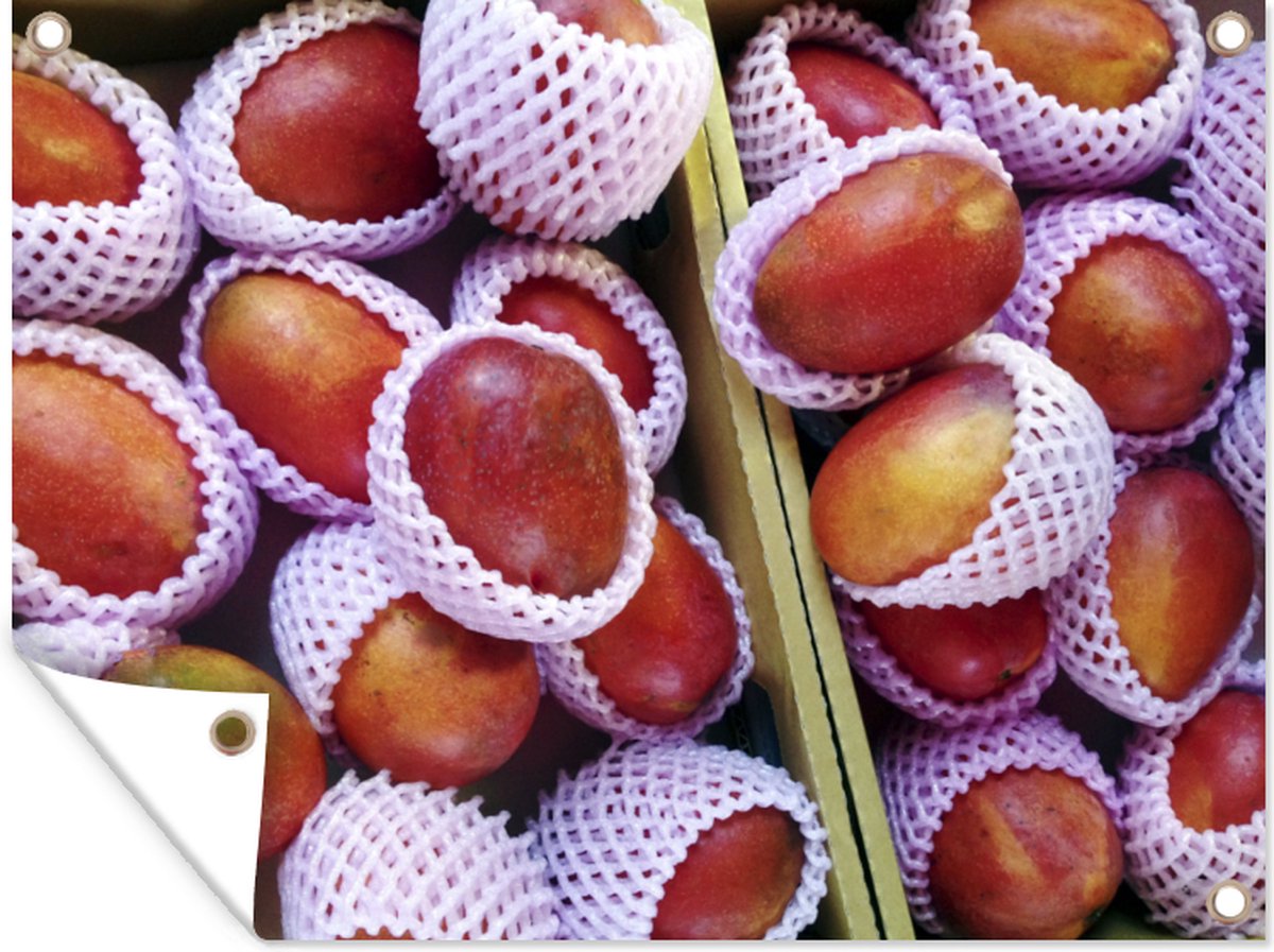 Tuin decoratie Mango - Fruit - Kist - 40x30 cm - Tuindoek | bol.com