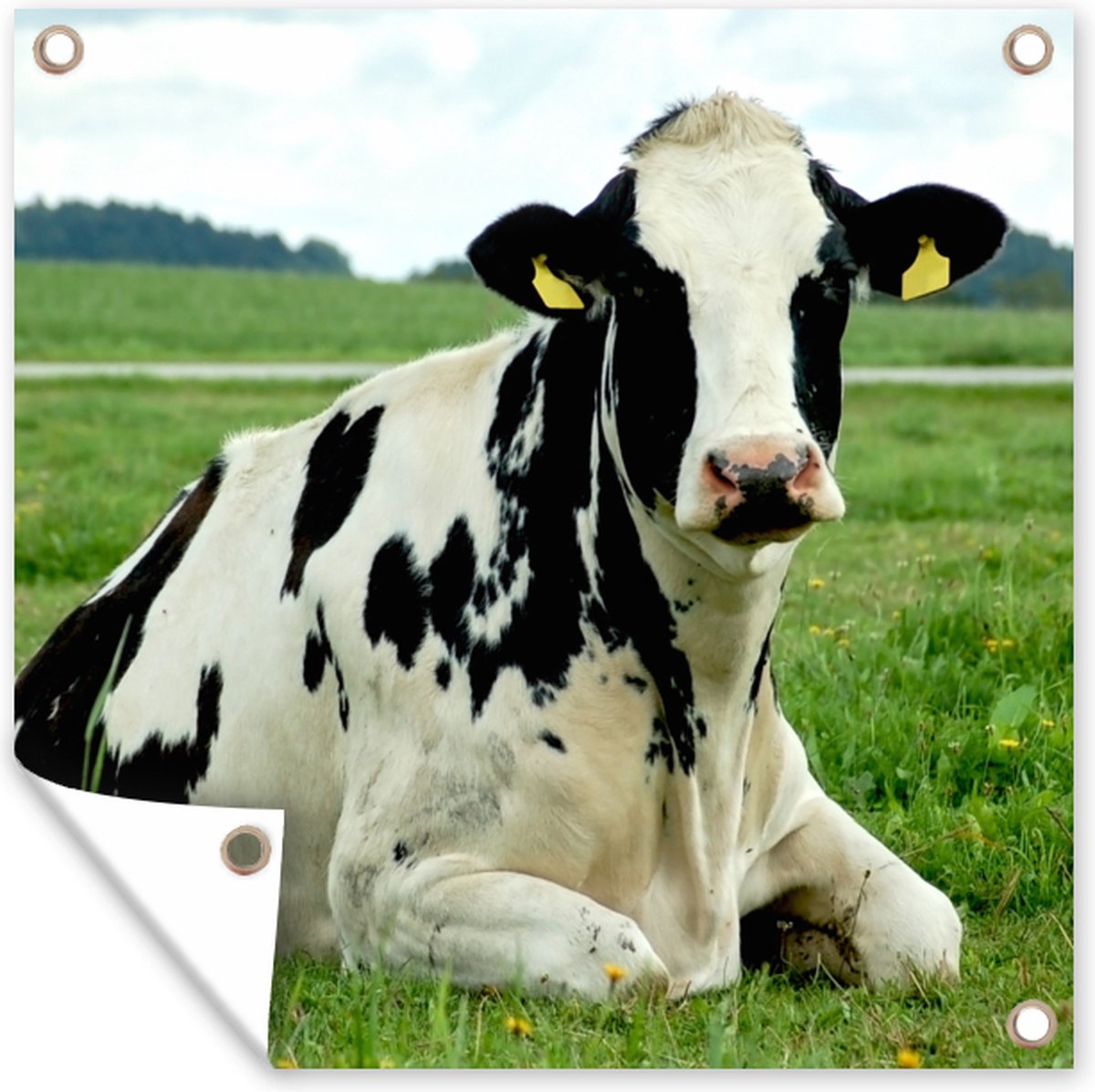 Posters de jardin Vache - Animal - Frise - 50x50 cm - Toile de jardin ...