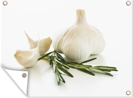 Muurdecoratie buiten Studio shot van verse knoflook en rozemarijn ...