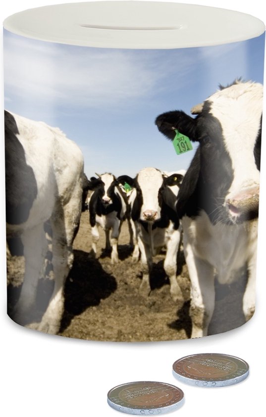 Spaarpot - Spaarblik - Koeien - Zand - Dieren - Spaarpotten ...