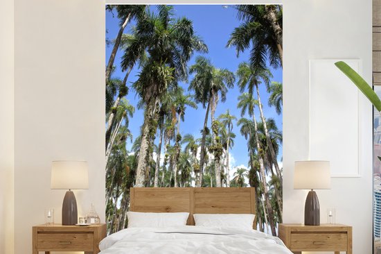 Behang - Fotobehang Palmbomen in de Palmentuin in Paramaribo, Suriname ...