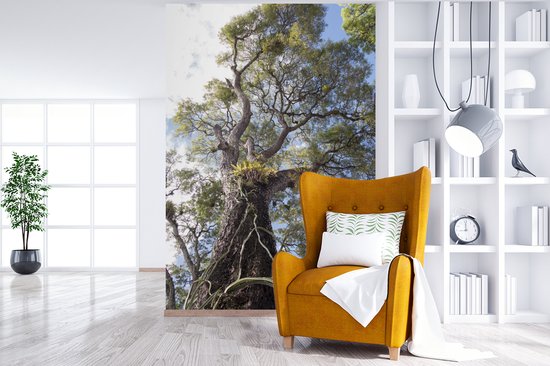 Behang - Fotobehang Grote boom van onder in Suriname - Breedte 180 cm x ...