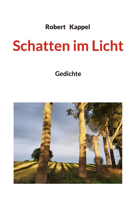 Schatten im Licht (ebook), Robert Kappel | 9783759746870 | Boeken | bol