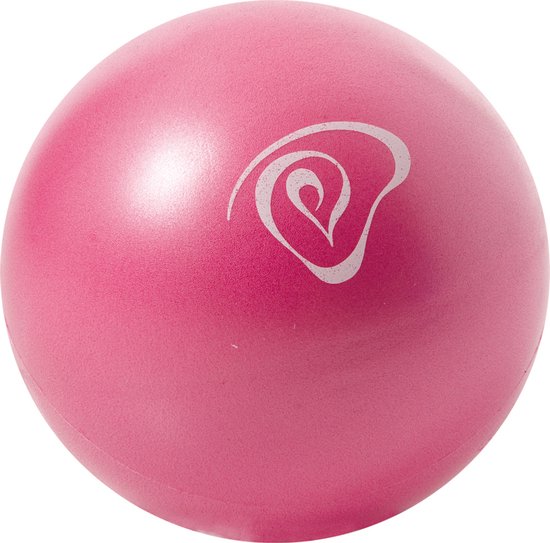 TOGU Spirit Ball- trainings bal- fitness bal | bol