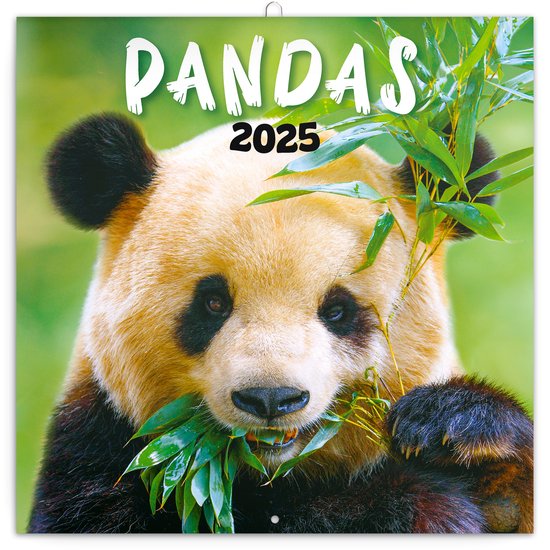 Panda Kalender 2025 | bol