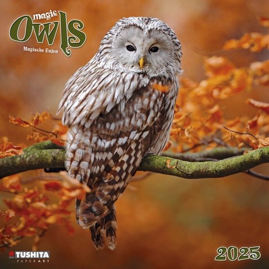 Magic Owls Kalender 2025 | bol