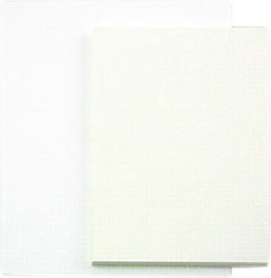 Tekenpapier Papyrus 50x32 cm 120gr 500 vel | bol