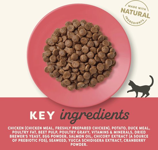 Droge Kattenvoeding met Kip en Eend - 7.5 kg | bol