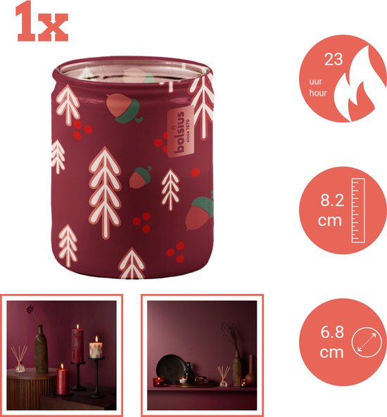 Bolsius - True Glow - Geurglas - 82/68 - Winter Spices ...