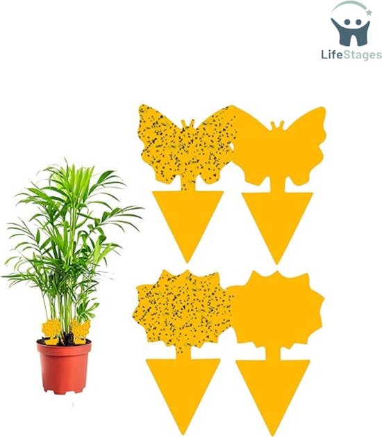 LifeStages - Rouwvliegjes Plakstrips - Gele Bordenval - Plakbord ...