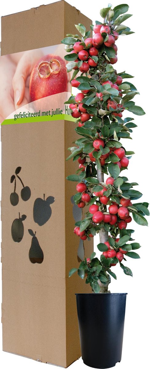 Minitree Appelboom Huwelijksboom | bol