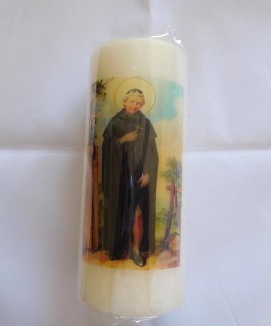 Kaars stomp H. Peregrinus | bol.com