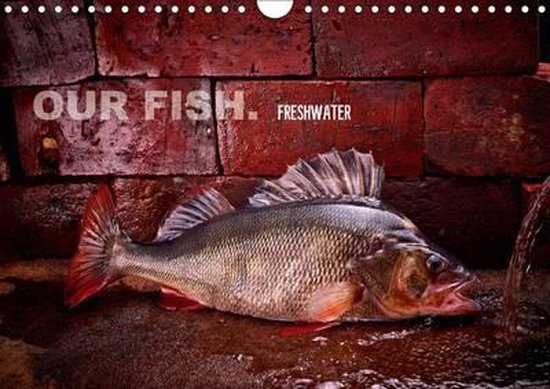 Our Fish. Freshwater. 2016 | bol.com