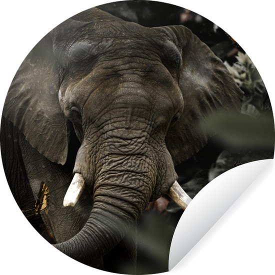 WallCircle - Muurstickers - Behangcirkel - Dieren - Olifant - Vlinders - ⌀ 120 cm -... | bol