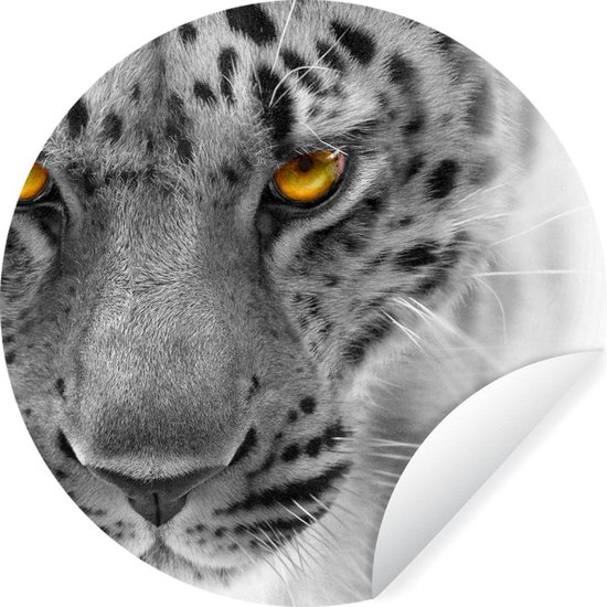 WallCircle - Muurstickers - Behangcirkel - Luipaard - Ogen - Zwart - Wit - ⌀ 140 cm -... | bol