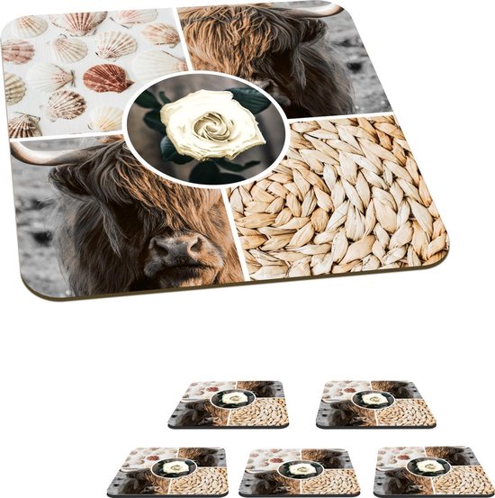 Onderzetters voor glazen - Schotse Hooglander - Collage - Schelpen ...