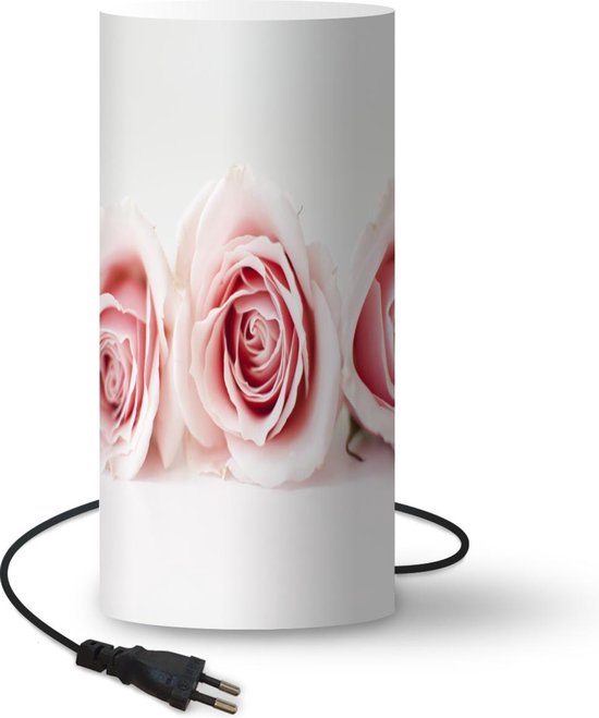 Lampe Rose rose - Prise de vue en studio de trois roses roses côte à ...