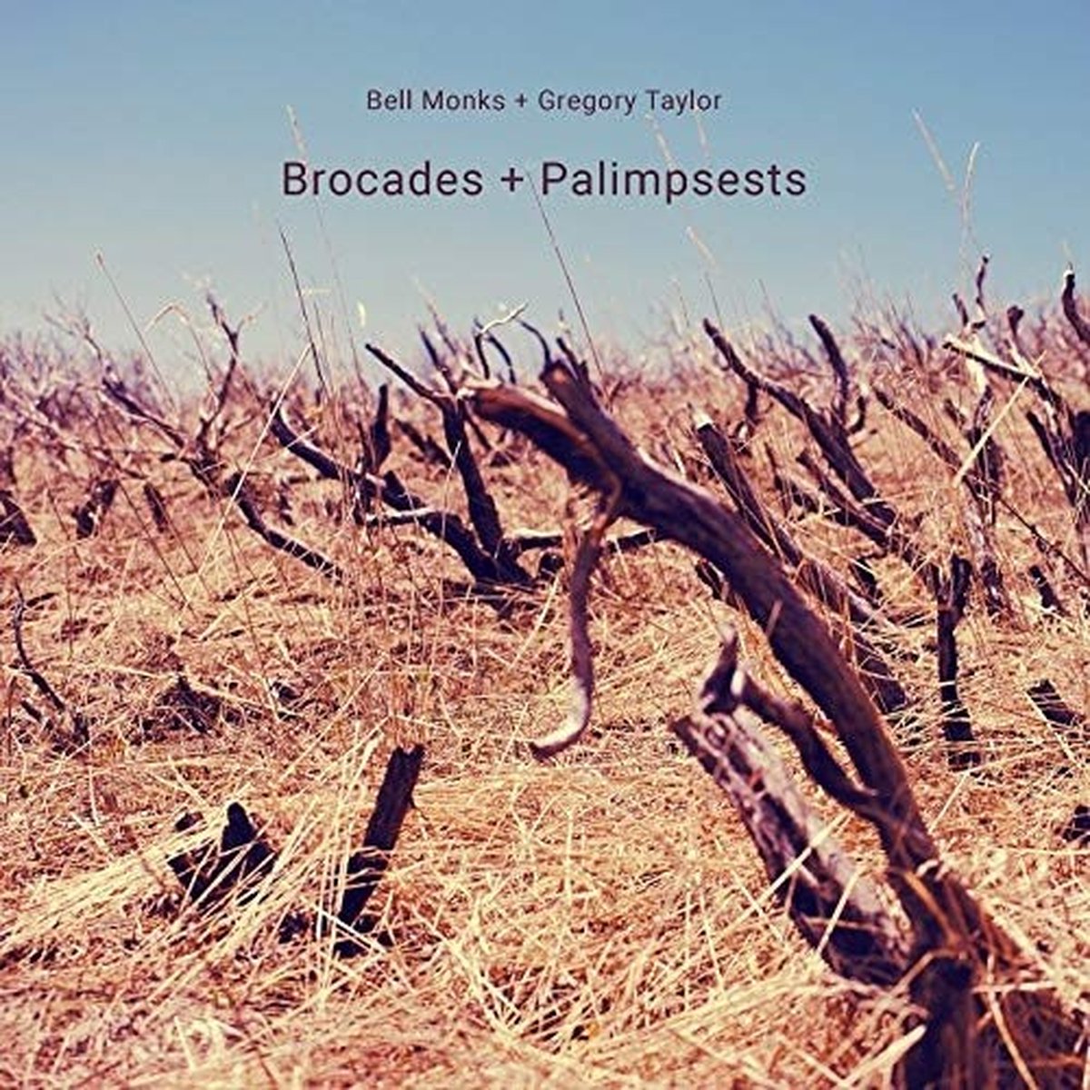 Bell Monks & Gregory Taylor - Brocades + Palimpsets (CD), Bell Monks ...