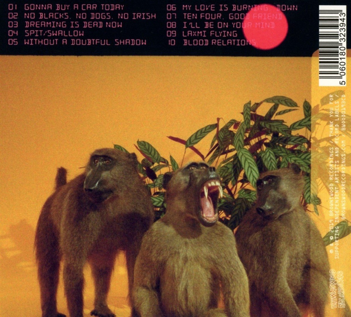 Skinny Pelembe - Dreaming Is Dead Now (CD), Skinny Pelembe | CD (album ...