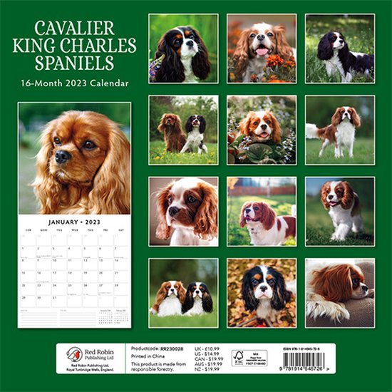 Cavalier King Charles Spaniel Kalender 2023 | bol.com