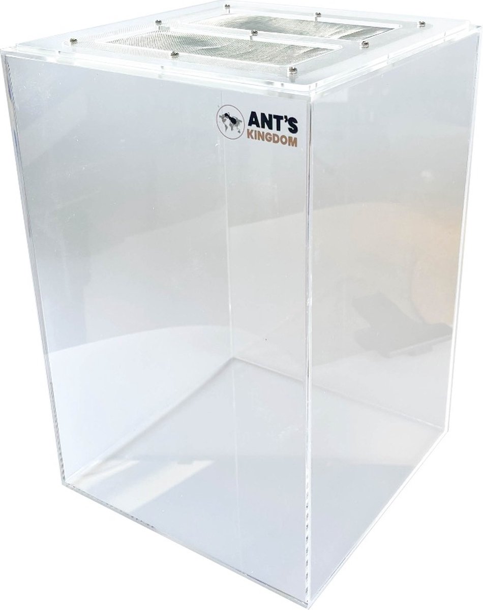 Insecten Terrarium CUBE deluxe | bol.com