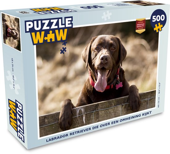 Puzzel Labrador Retriever die over een omheining kijkt - Legpuzzel ...