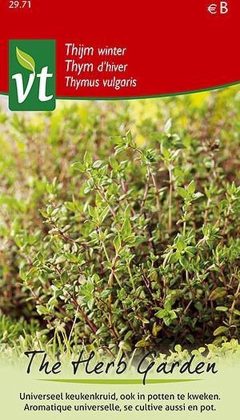 Thijm - Aromatisch Kruid voor Culinaire en Medicinale Gebruik | bol
