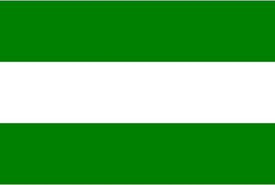 Vlag Rotterdam | bol